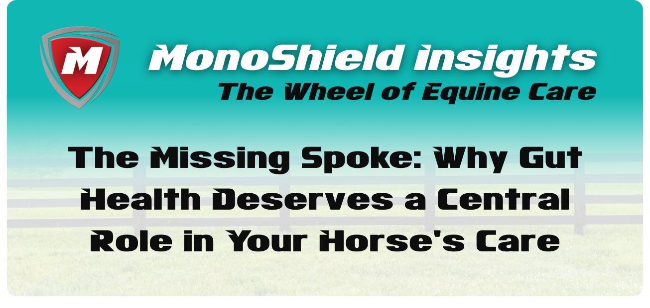The Missing Spoke: Why Gut Health Deserves a Central Role in Your Hors ...