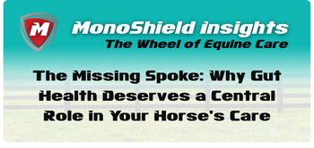 The Missing Spoke: Why Gut Health Deserves a Central Role in Your Hors ...