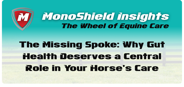 The Missing Spoke: Why Gut Health Deserves a Central Role in Your Hors ...