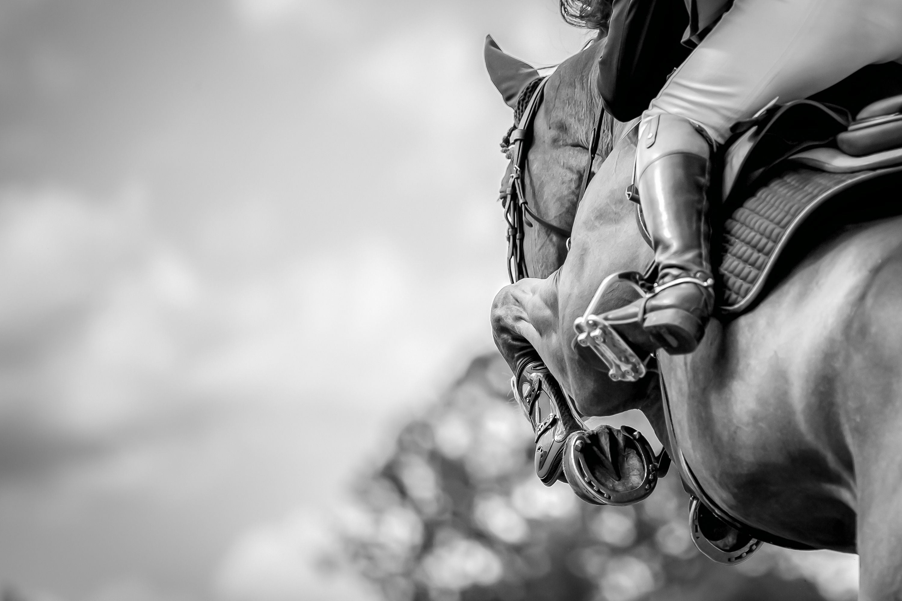 Contact – MonoShield Equine Ireland
