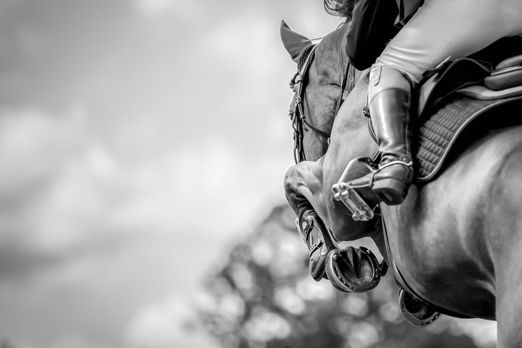 Contact – MonoShield Equine Ireland