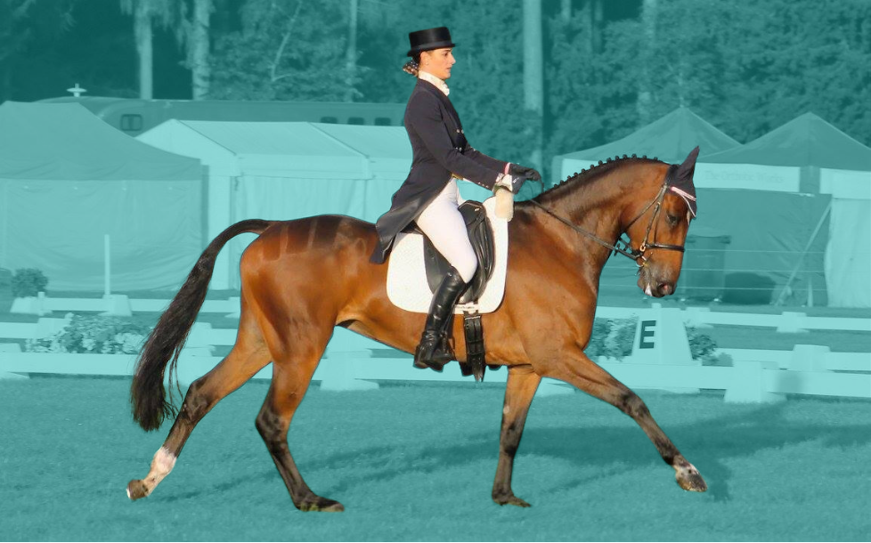 MonoShield Equine Ireland