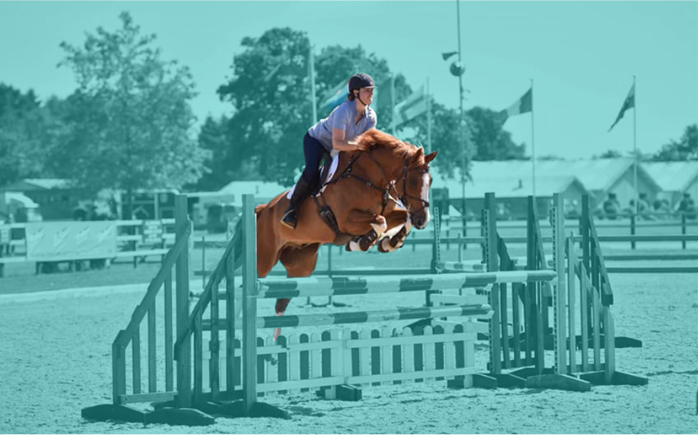 MonoShield Equine Ireland