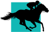 MonoShield Equine Ireland